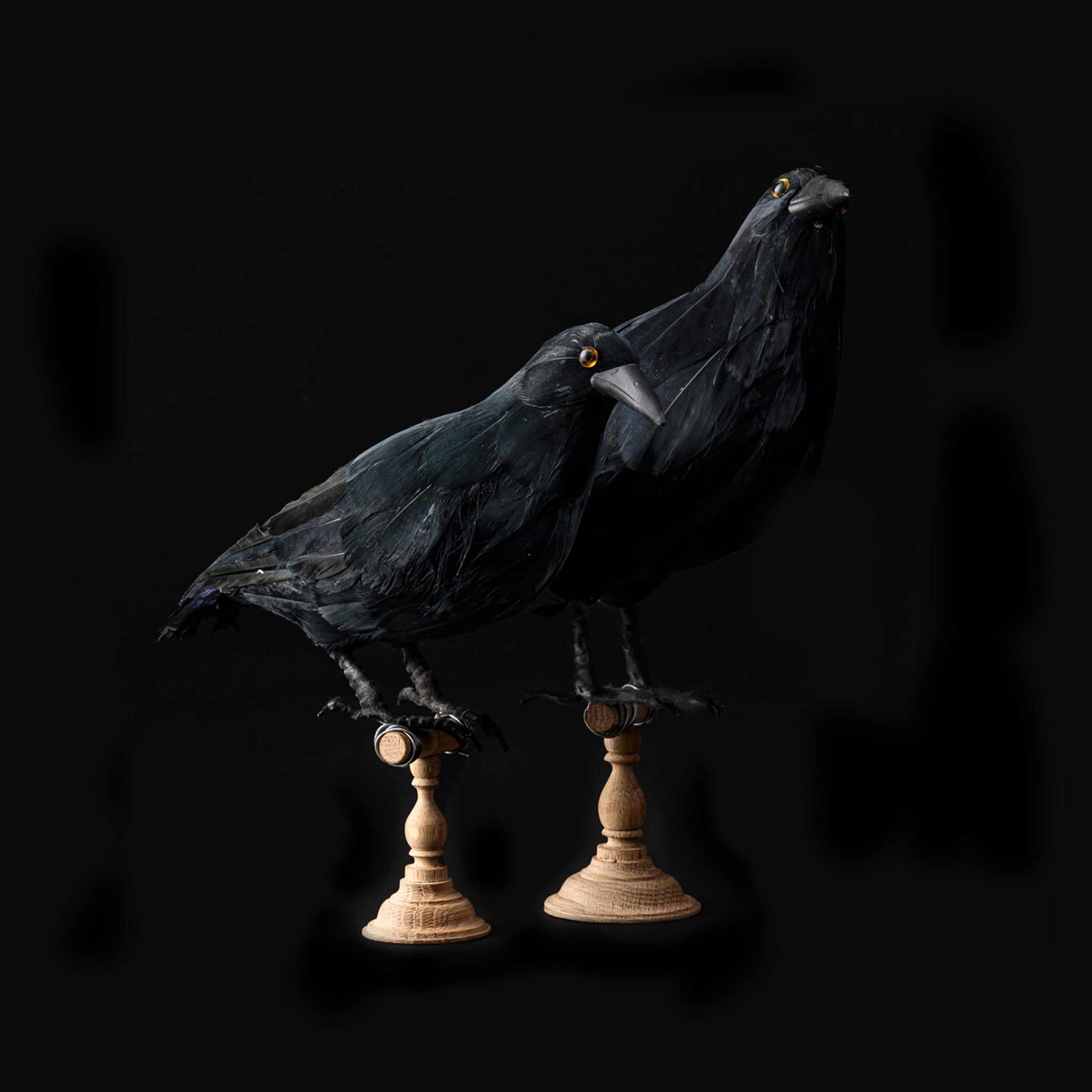 ARTIFICIAL BIRDS Crow / Small – PUEBCO TAIWAN