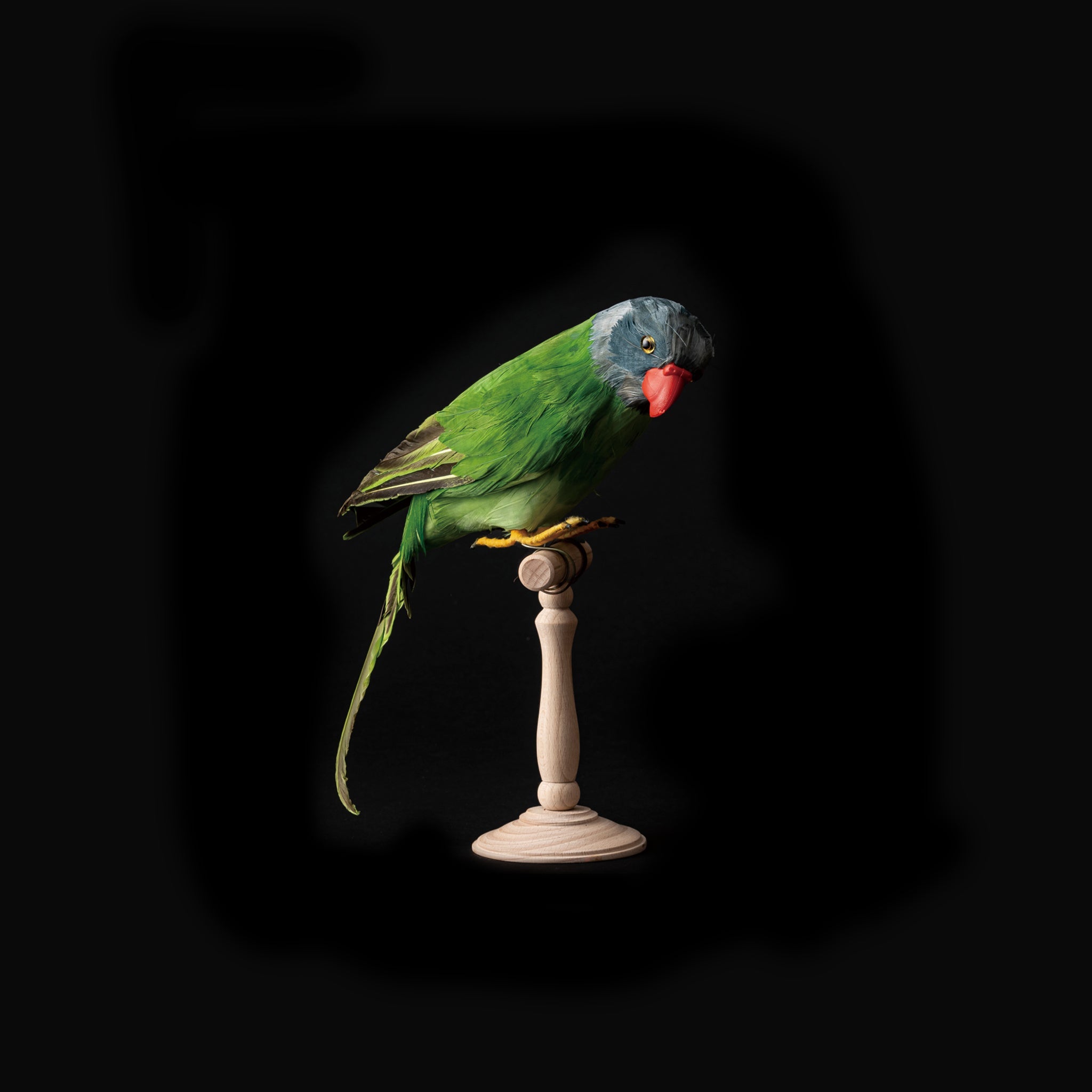 ARTIFICIAL BIRDS Green Parrot – PUEBCO TAIWAN