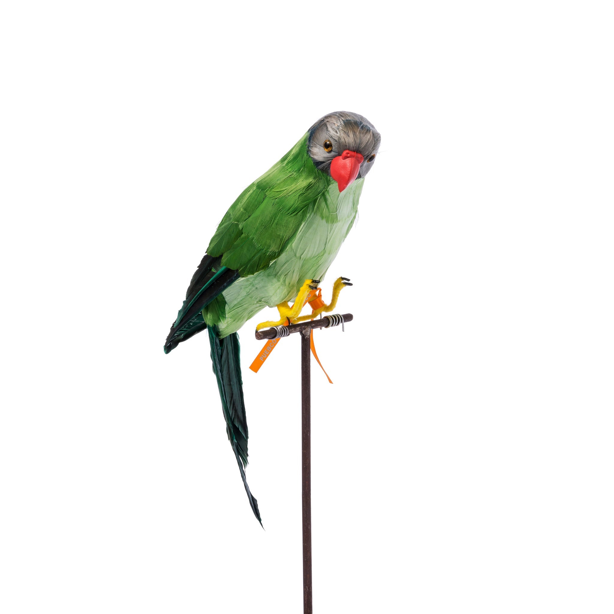 ARTIFICIAL BIRDS Green Parrot – PUEBCO TAIWAN